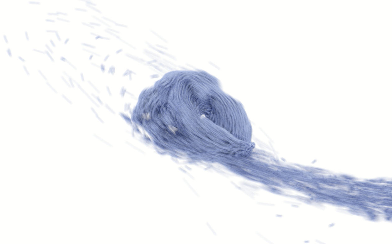 Gravity Simulations With Particle Streams Mantascode